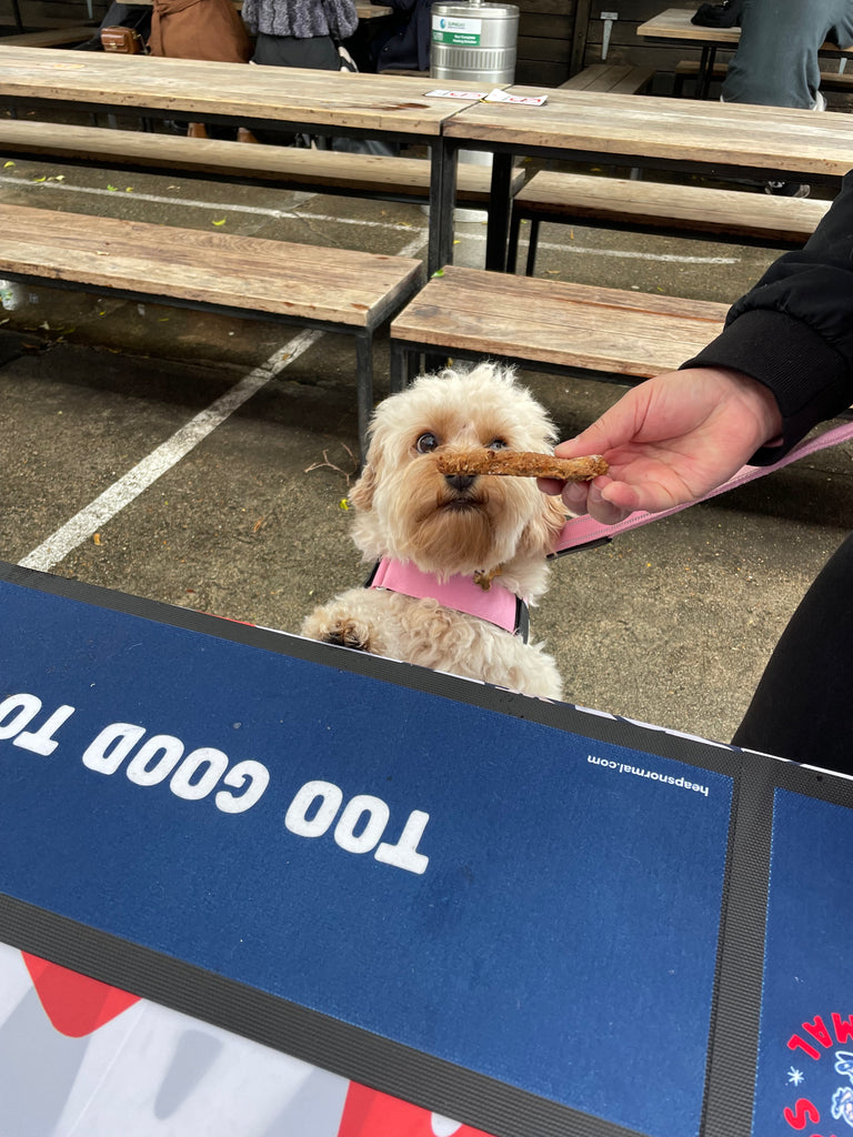 Heaps Normal Dog Biscuits